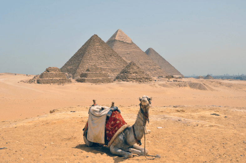 The Pyramids May Be Iconic. But The Unexpected Detours? Legendary! | Fencox